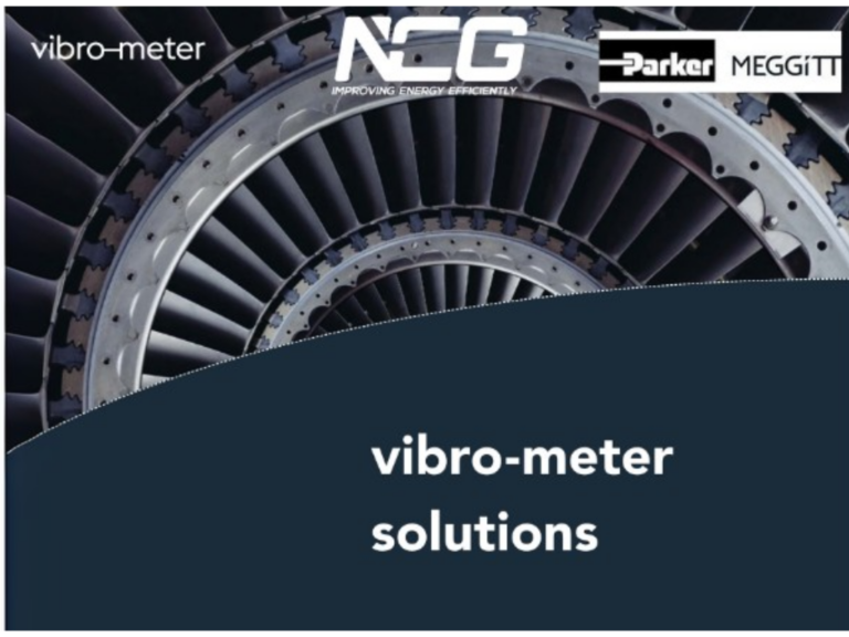 Parker Meggitt - Normandy Control group - NCG